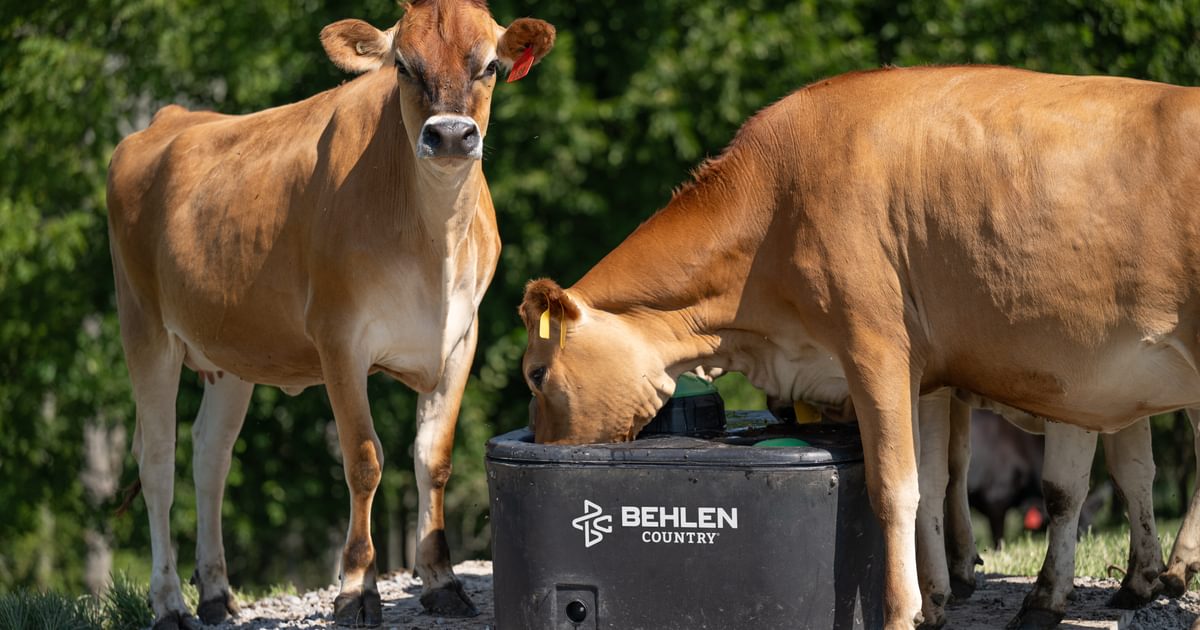 Behlen Country | Livestock Watering System Basics